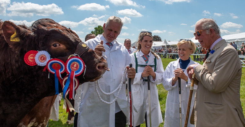 Great Yorkshire Show to become four-day event - Hambleton Today