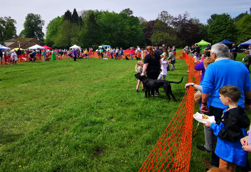Bedale dog shows raises thousands for charity - Hambleton Today