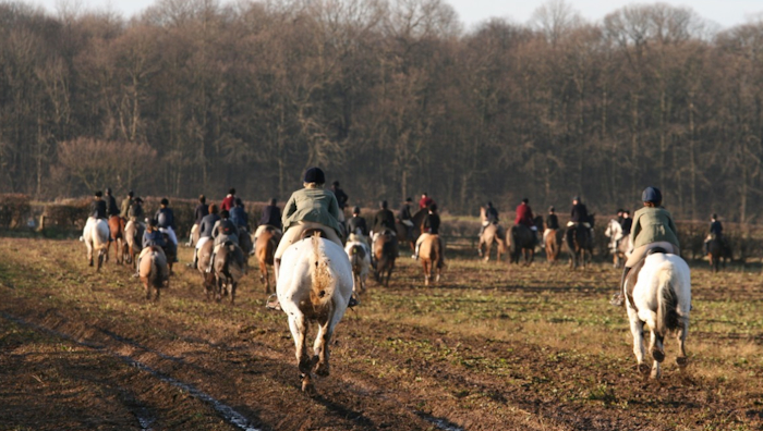 North Yorkshire councillor proposes ban on trail hunting on council ...