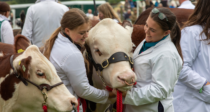 Great Yorkshire Show tickets to go on sale - Hambleton Today